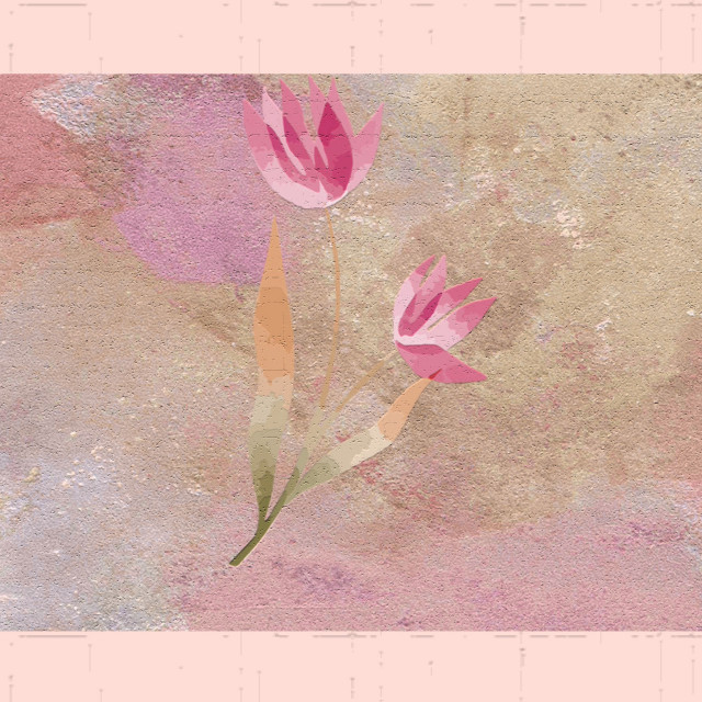 Flowers Peel and Stick Wallpaper Border 15'x7", Roll 15 ft. x 7 in ...