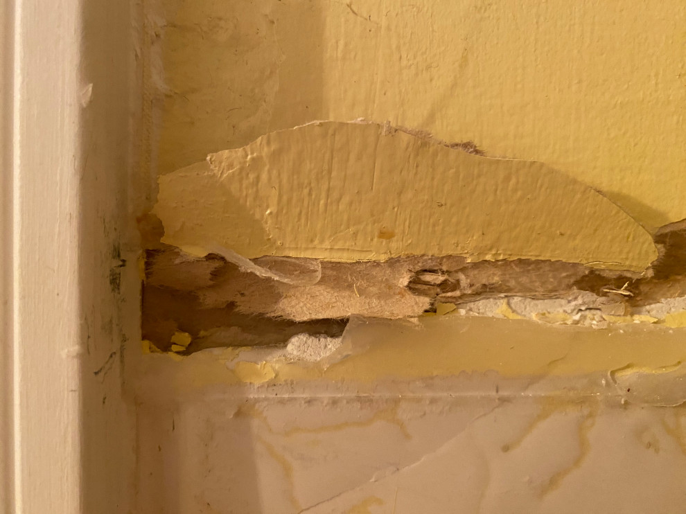 Drywall damaged above shower tiles