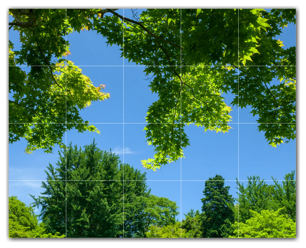 Trees Ceramic Tile Wall Mural HZ501015, 60" Wide x 48" High ...