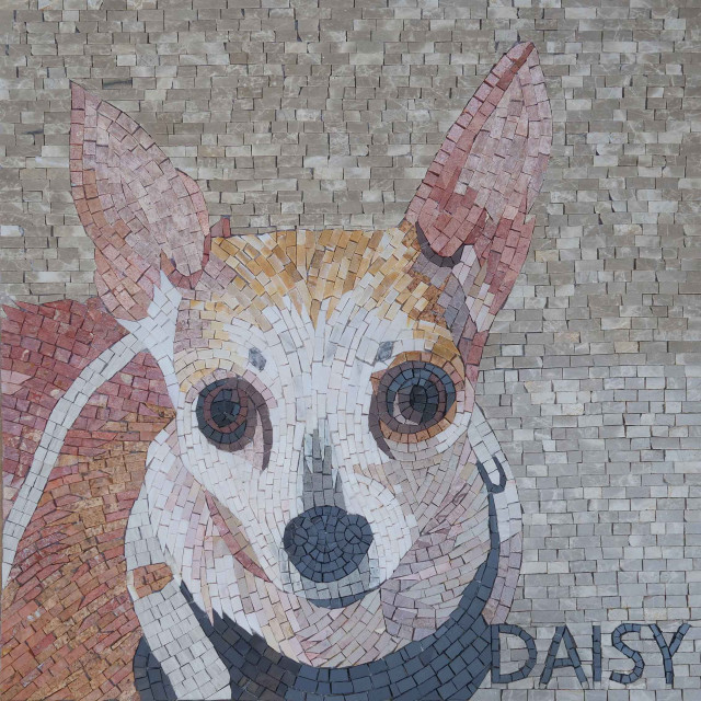 Chihuahua Dog Mosaic Mural, 60" x 60" - Contemporary - Tile Murals - by ...