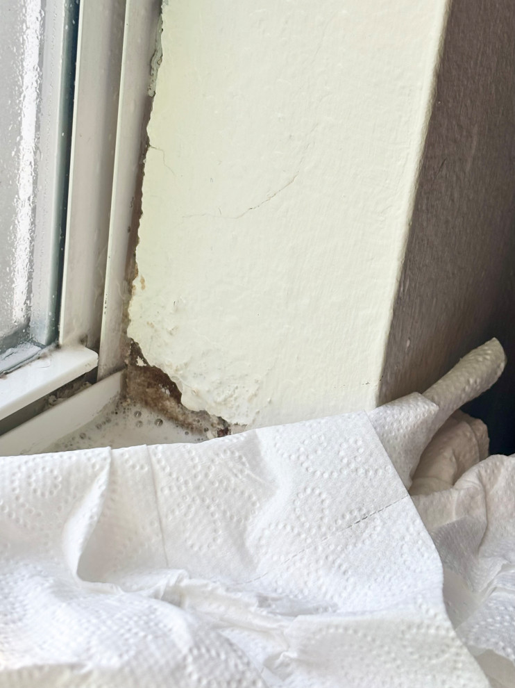 Window condensation damage | Houzz Forum
