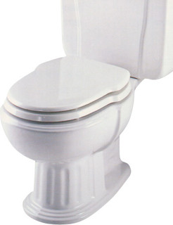 Eljer Savannah Incepa Hampton Elongated Custom Seat - Mediterranean ...