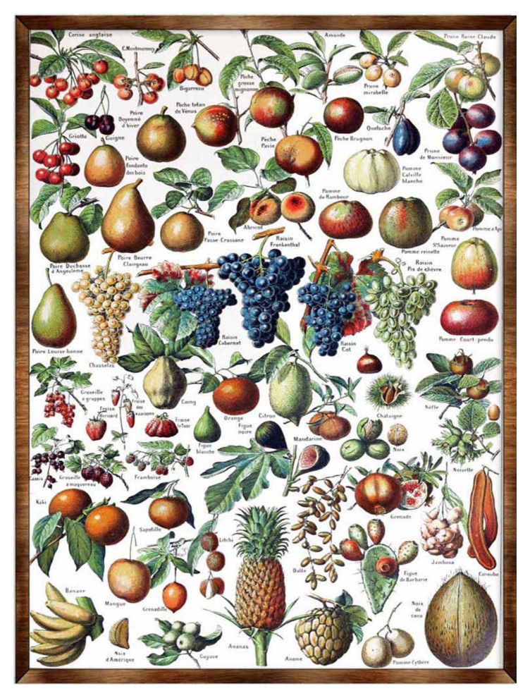 Fruit Montessori Wooden Poster Wooden Kids Room Decor Classroom Decor ...