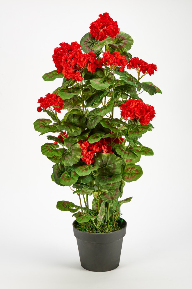 31" Large Faux Geranium In 7" Pot With Moss, Red - Modern - Artificial ...