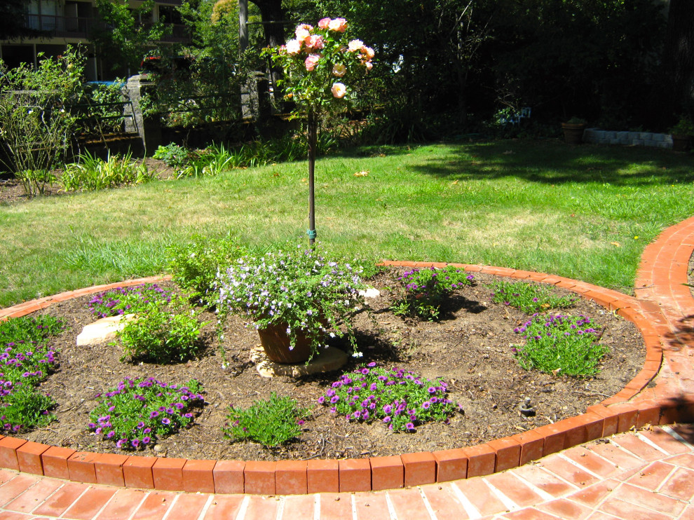 Evolution of a formal rose bed...