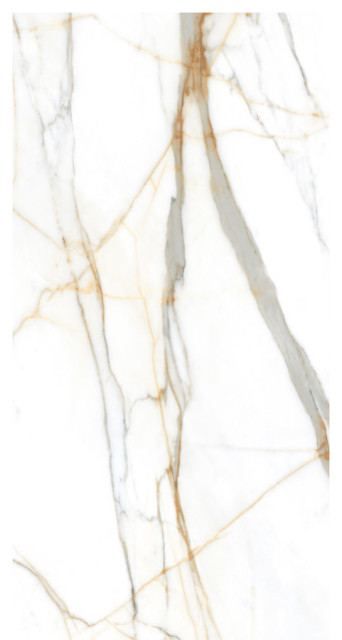 Calacatta Gold Natural Glossy Porcelain Tile, 32x64 - Traditional ...