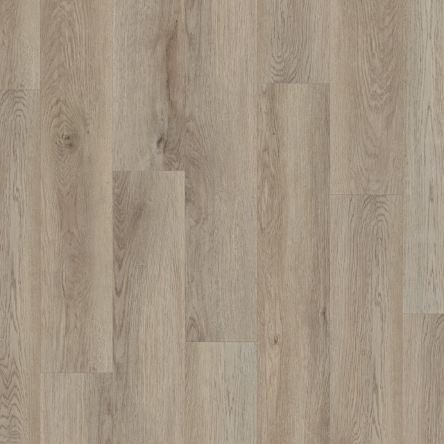 COREtec Pro Galaxy Elliptical Oak VV465-02062 SPC Vinyl Flooring Sample ...