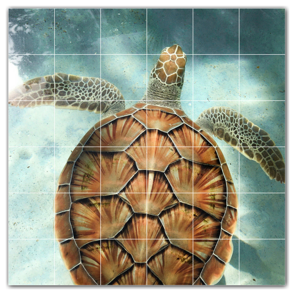 Turtle Ceramic Tile Wall Mural HZ501049, 48" Wide x 48" High - Beach ...