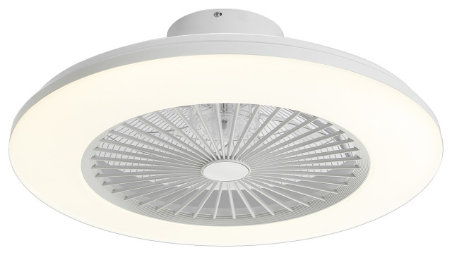 22'' Ceiling Fan with Lights and Remote Control - Transitional ...