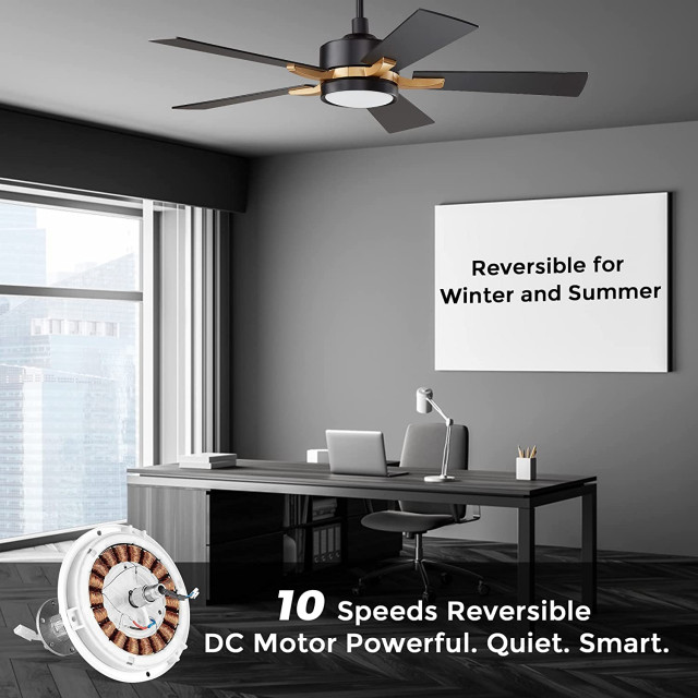 52" Indoor Smart Wifi Ceiling Fan with Dim LED Light and Remote Control ...