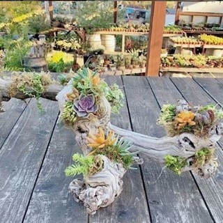 BARRELS & BRANCHES - Project Photos & Reviews - Encinitas, CA US | Houzz