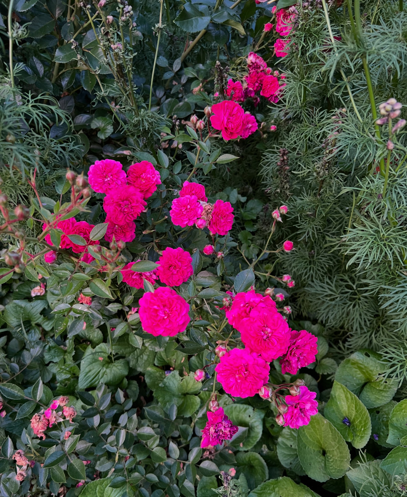 Sleeper hits of 2025