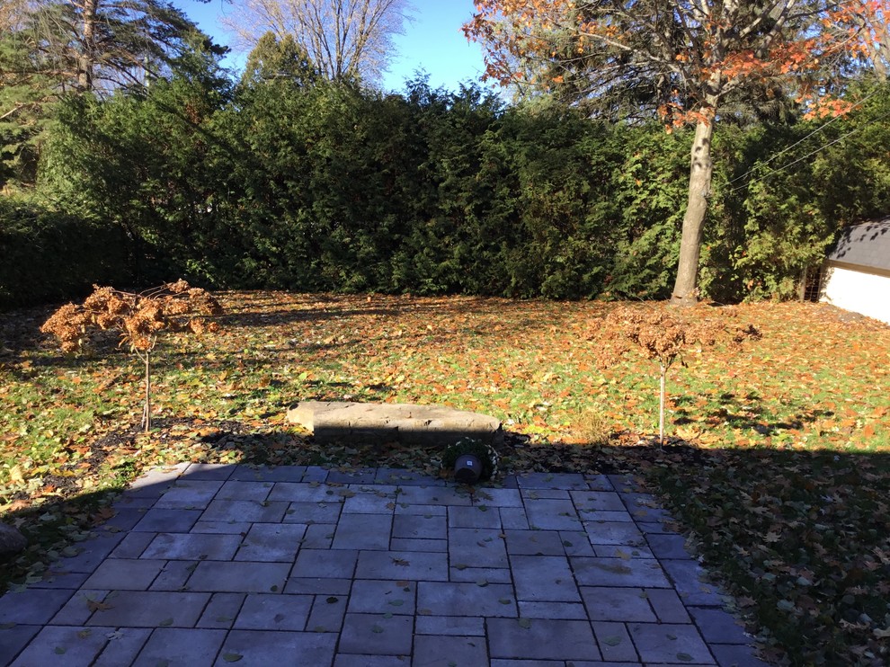 Cutting My Hydrangea Tree Zone 4