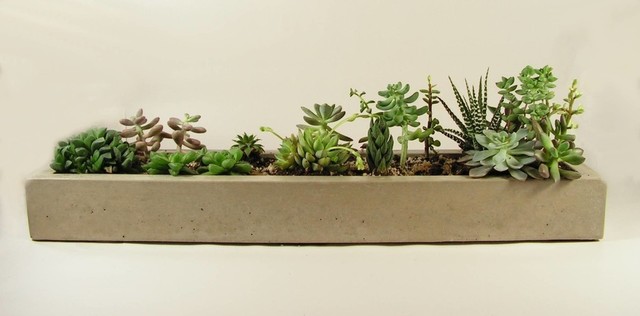 Long Concrete Tray 24