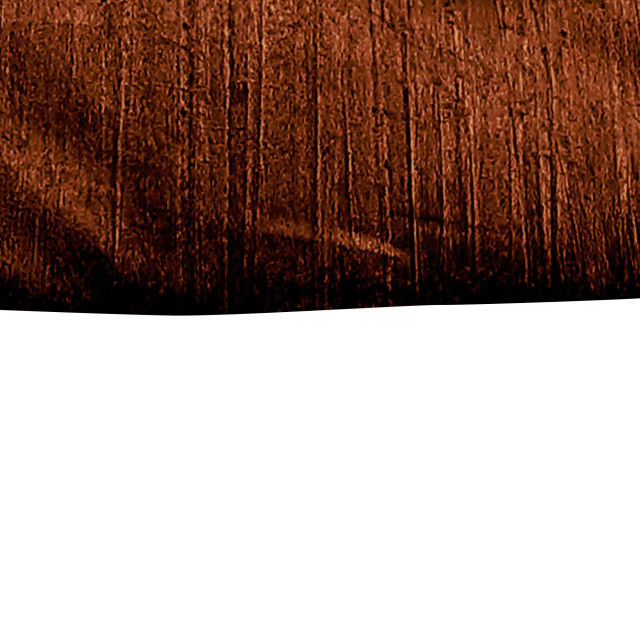 Benzara BM283898 Jay 2 Piece Twin Comforter Set, Copper Polyester ...