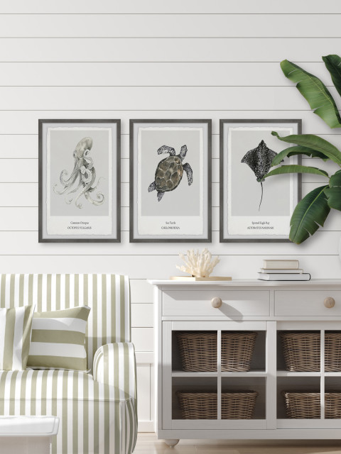 Aetobatus Narinari Triptych, 3-Piece Set, 12x18 - Beach Style - Wall Accents - by Marmont Hill ...