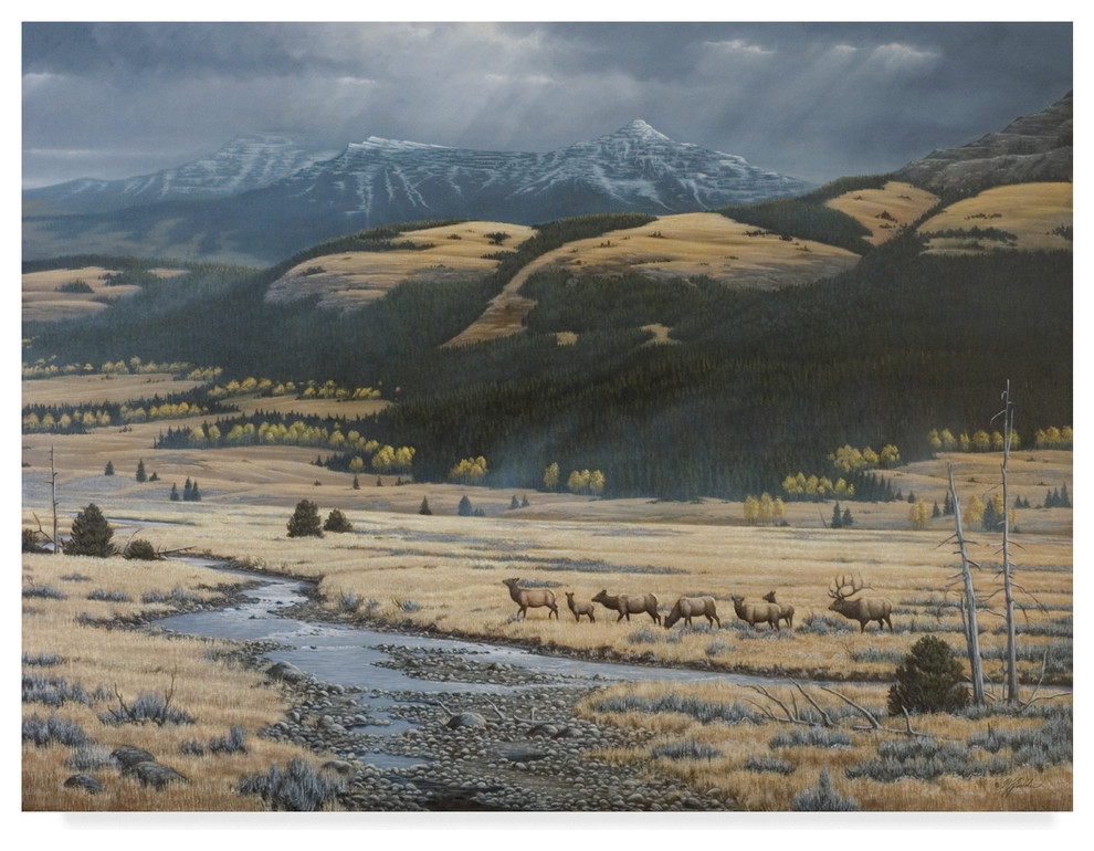 Wilhelm Goebel 'Big Valley Elk' Canvas Art, 19"x14" - Rustic - Prints ...