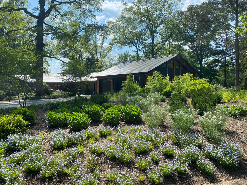Lakehouse - Contemporary - Landscape - Philadelphia - by Ronni Hock ...