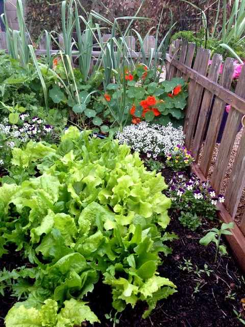 The Poop Scoop: Enrich Your Soil With Good Old Manure