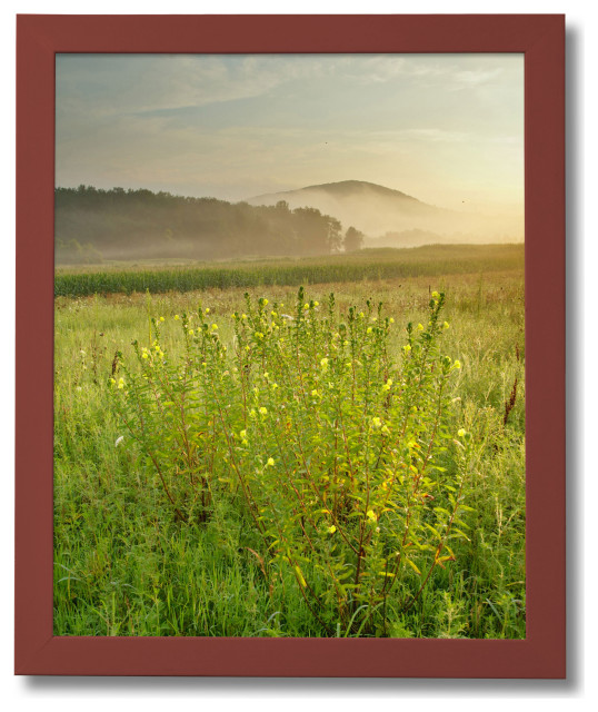 Bold Legacy .75" Frame, 8"x10" - Transitional - Picture Frames - by ...