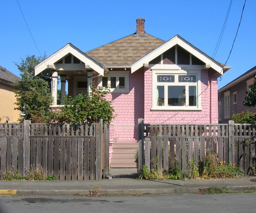 Please help me choose a roof for my pink bungalow!