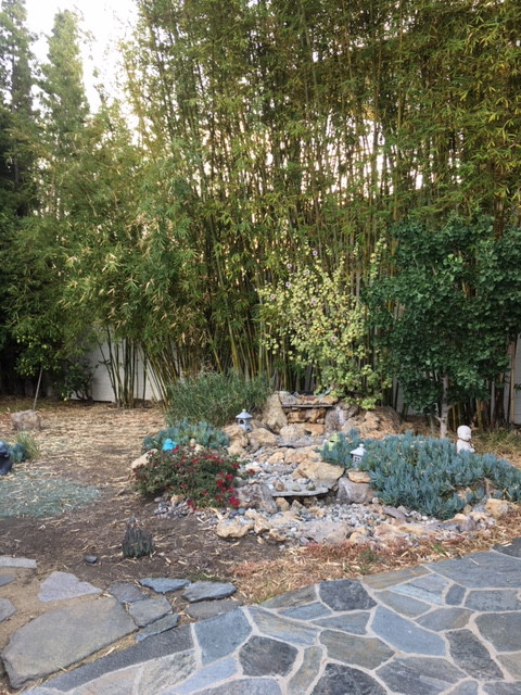 Simple Patio fountain to coexist with tall messy bamboo hedge
