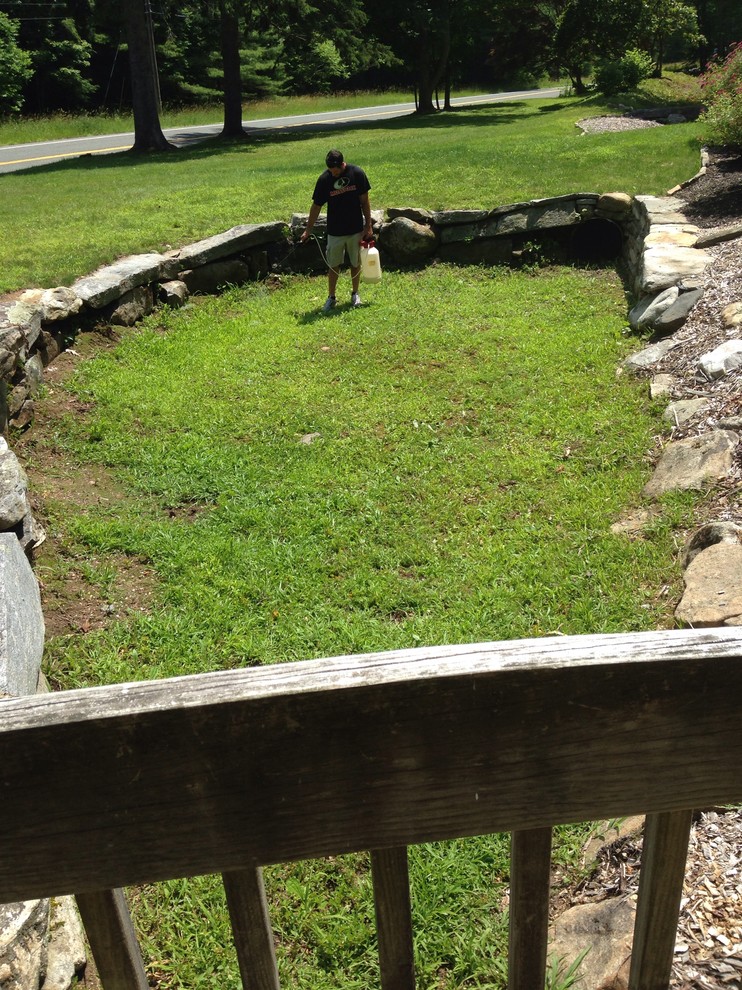 Landscaping ideas wanted