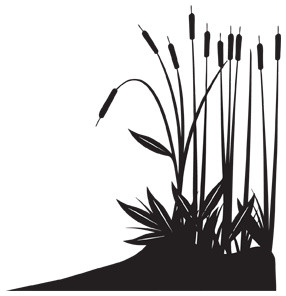 Digital Prints Art & Collectibles Prints Cat Tails vinyl sticker etna ...