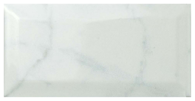 Classico Carrara Ceramic Wall Tile, Glossy Metro, Sample - Traditional ...