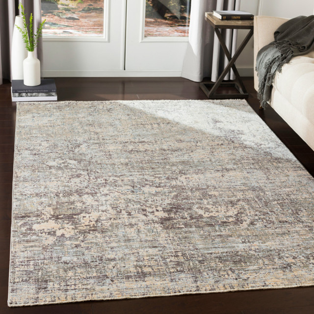 Presidential Area Rug, 5'x8'2" - Contemporary - Area Rugs - by Surya ...