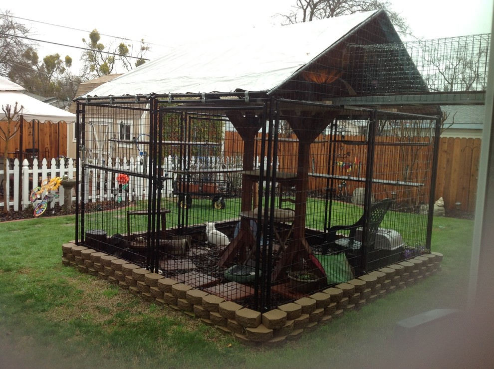 Incredible Home Catwalks Make for Purr-fectly Happy Felines