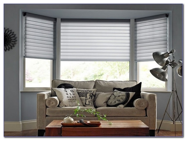 what are these types of blinds called, where to get them?