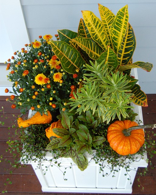 12 Fresh Fall Container Designs for Your Home and Garden