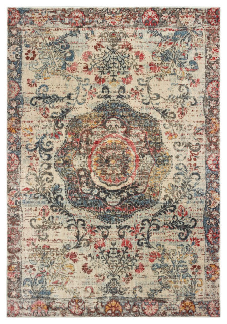 4??6??Ivory Distressed Medallion Area Rug, 20.77 - Contemporary - Area ...