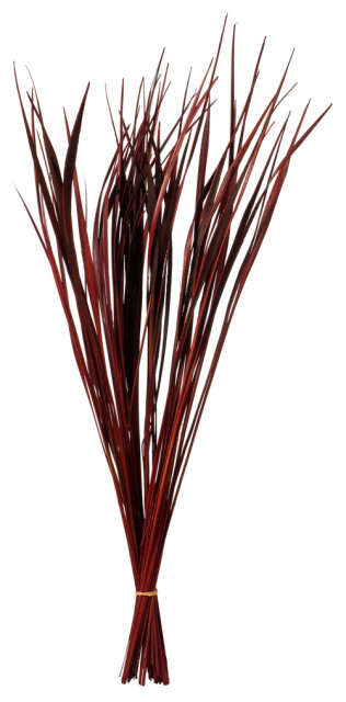 Vickerman H2SPG475 28 Red Splinter Grass, 11 oz Bundle, Dried ...
