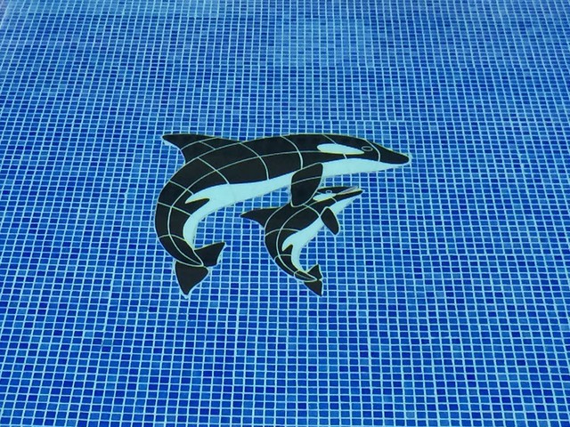 Orca & Baby Ceramic Swimming Pool Mosaic, 36"x34" - Beach Style ...