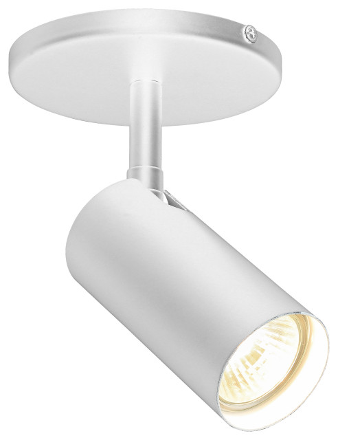 Matte White Contemporary Spotlight - Transitional - Spot Lights - by ...