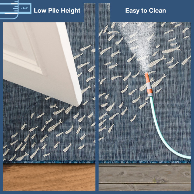 Carmel School Of Fish Indoor/Outdoor Rug, 7'10"x9'10" - Beach Style ...