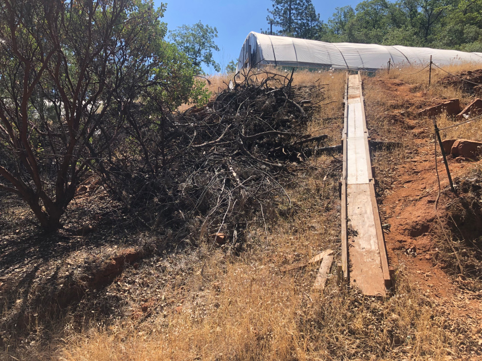 Can I use giant bamboo as a make-shift retaining wall?