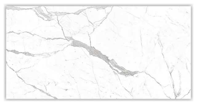 Calacatta Pearl Polished 24x48 Porcelain Tile, 24x48 - Contemporary ...
