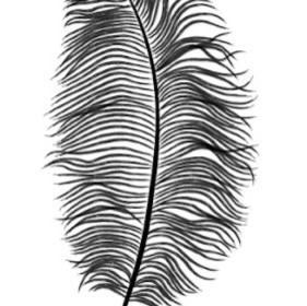 PLUME DE PANACHE - Project Photos & Reviews - Paris, FR FR | Houzz