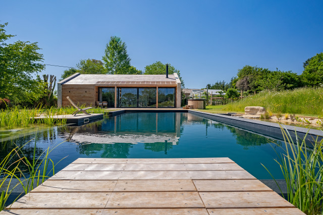 Natural Swimming Pool - Contemporary - Wiltshire - by Fi Boyle Garden ...