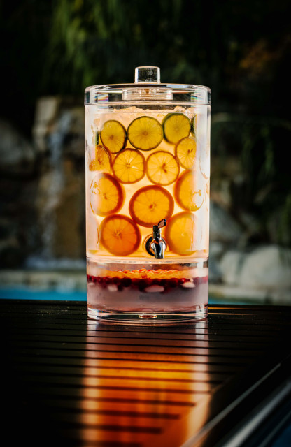 Bold Drinkware Aloha 1.5 Gallon Infusion Jar - Transitional - Beverage ...