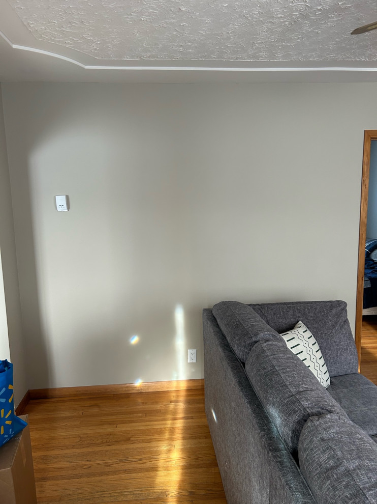 Any Wall Decor Ideas | Houzz Forum
