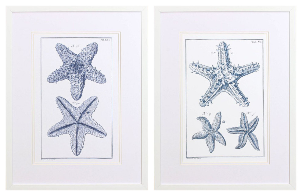 Blue Sea Stars-B Artwork, 2-Piece Set - Beach Style - Prints And ...