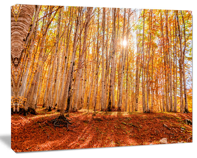 Colorful Red Forest at Sunset, Modern Forest Canvas Art, 20"x12 ...
