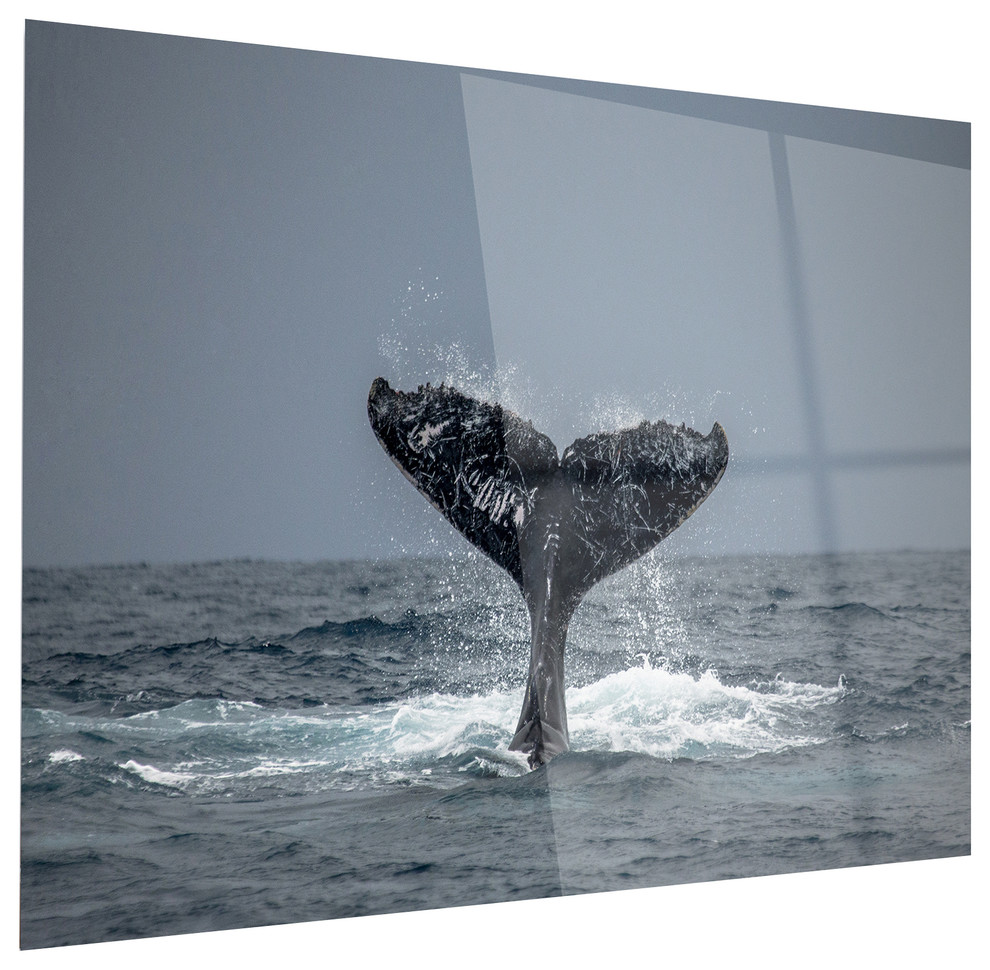 Designart Large Humpback Whale Tail Wall Art, 40"x30" - Beach Style ...