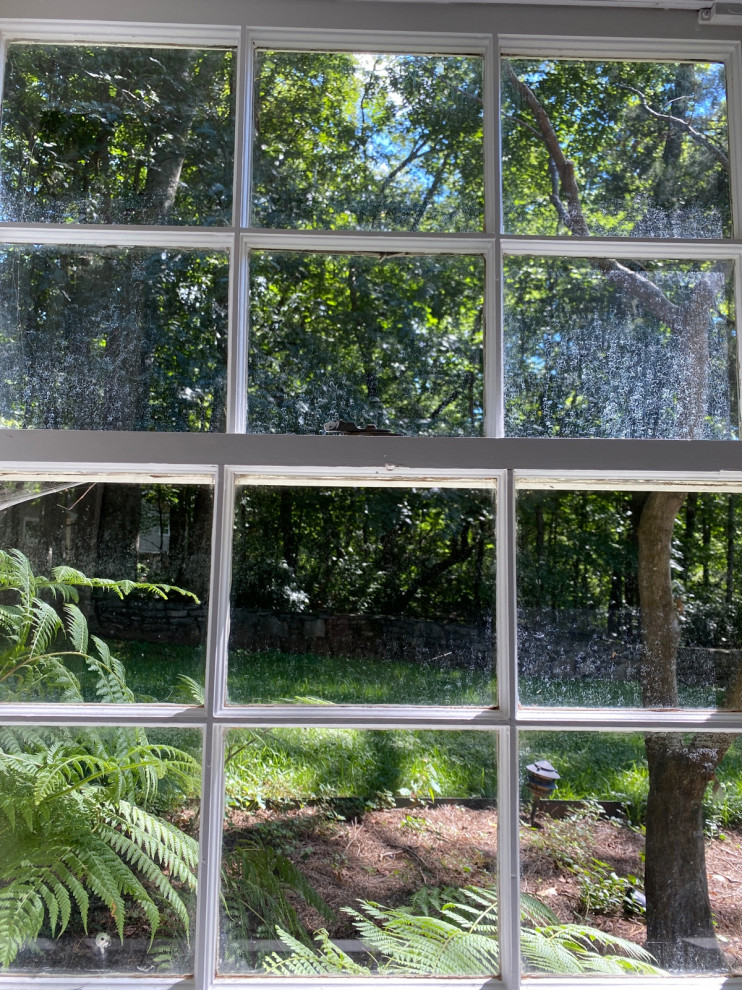 Replace original 1960s windows?