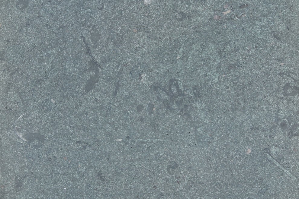 Green Stone Limestone Tiles, Honed Finish, Sample - Traditional - Wall ...