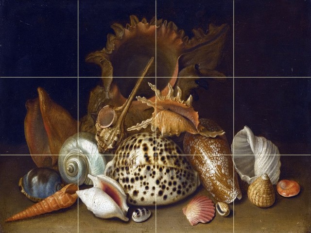 Tile Mural, Wall Backsplash Still Life of Sea Shells, 8" Ceramic, Matte ...